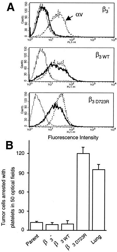 Integrin Activation Controls Metastasis In Human Breast Cancer Pmc