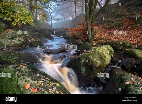 Padley Gorge In Autumn Near Grindleford Peak District National Park