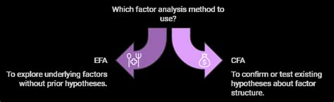Cfa Vs Efa Understand The Key Differences Rstudiodatalab