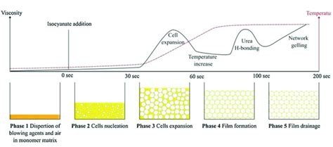 Growth Of Cells During Polyurethane Foams Formation Reprinted From