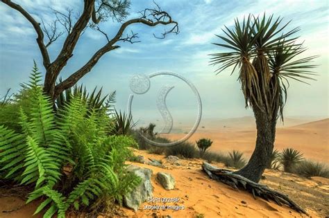 A Realistic Landscape From The Triassic Period Stocktrek Images