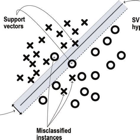 Linear Support Vector Machine Classifier Source Adapted From 47