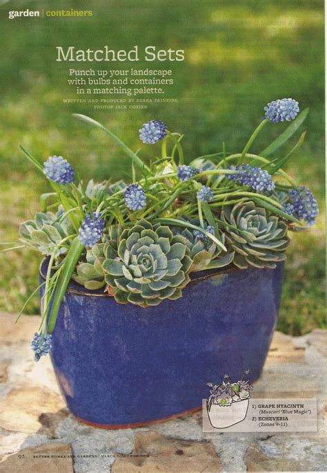 Cute Container Garden