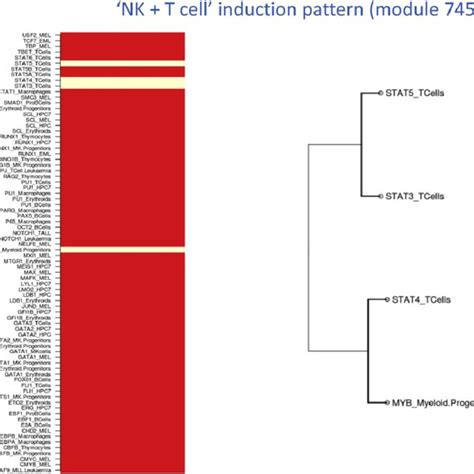 A Overrepresented Regulators Determined Using Gsca Left And C Gsca Download Scientific