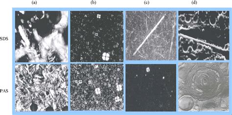 A Processing Sequence Showing The Precipitation Of Sds And Cocopas