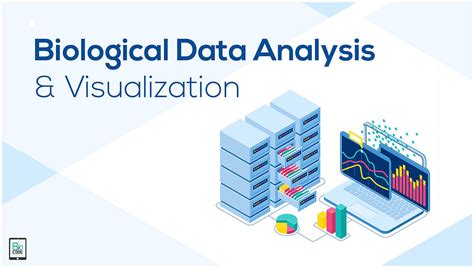 What Is Biological Analysis At Megan Boyd Blog