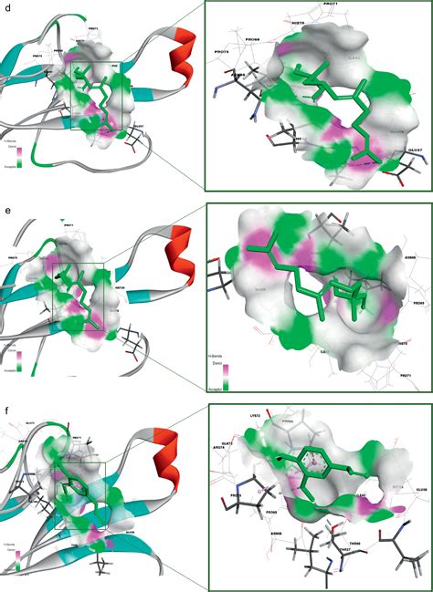 Pharmacoinformatic Approach To Explore The Antidote Potential Of