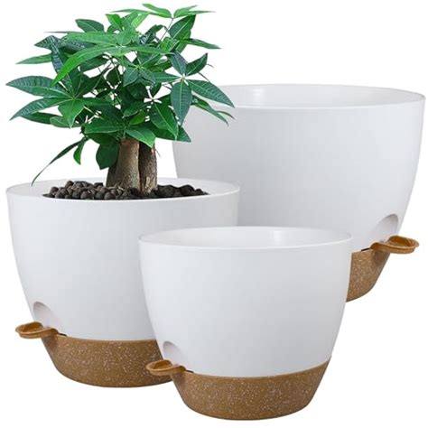 10 Best Pots For Peace Lilies That Will Help Your Plant Thrive
