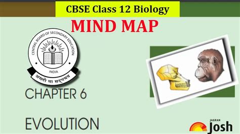 Cbse Evolution Class 12 Mind Map For Chapter 6 Of Biology Download Pdf