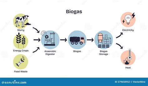 Biogas Production Stages With Bio Gas Generation Process Outline