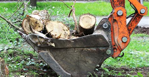Why You Need Tree Cutting Equipment Rut Mfg