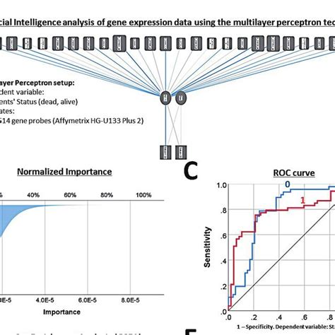 Artificial Intelligence Analysis Of Gene Expression Of Dlbcl A