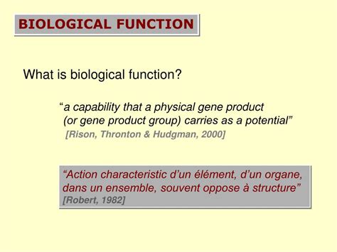 Ppt Theoretical Methods For Predicting Gene Function I Overview