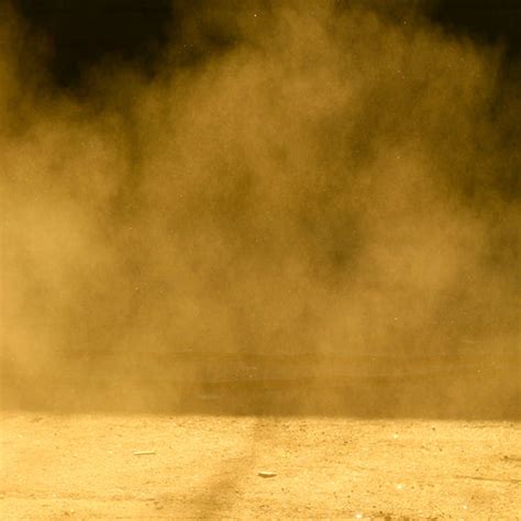 The Dangers Of Household Dust Green Goddess