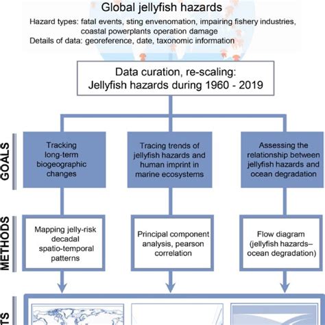 Schematic Representation Of The Data Mining Procedure Used In This