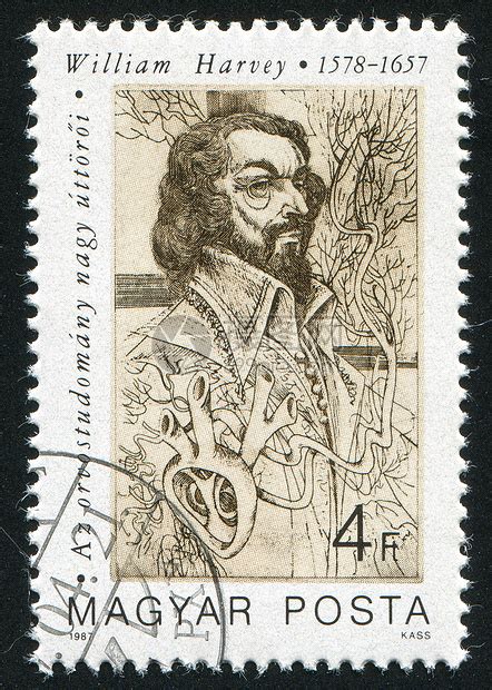 威廉·哈维高清图片下载 正版图片321095173 摄图网