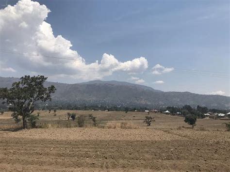 Hudson Christopher Laizer Restoration Of Degraded Habitats Of Mount