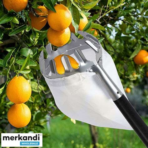 Fruit Picker Fruit Picking Tool Apple Picking Attachment 16cm