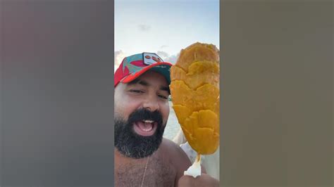 الساحل الرخيص Khaledjwad خالدجواد Youtube