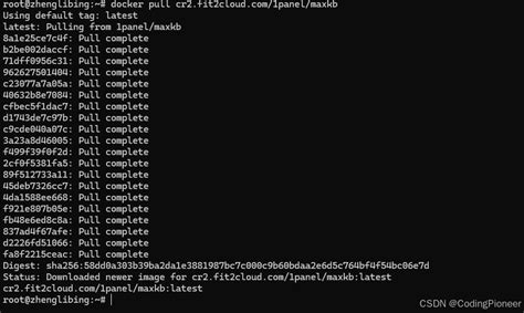大模型本地化部署2 docker部署maxkb maxkb docker csdn博客