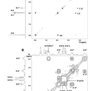1 H 1 H Cosy Nmr Analysis Of Udp Glcnac3n This Two Dimensional