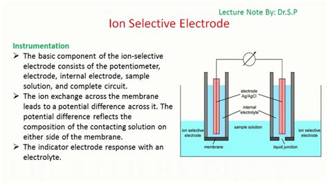 Ion Selective Electrode Principle At Donna Bull Blog