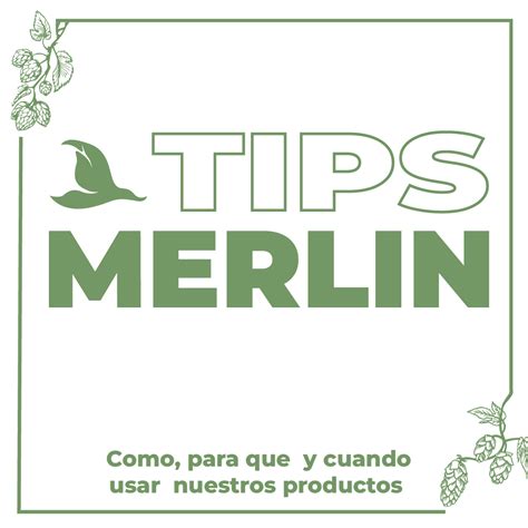 Merlín Uy Abrimos Merlin Coffee Shop En Montevideo Calle Piedras 268