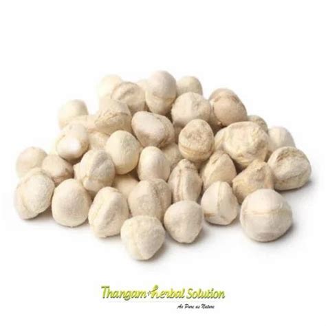 Moringa Seed Kernels At ₹ 500kg Madurai Id 2849626590730