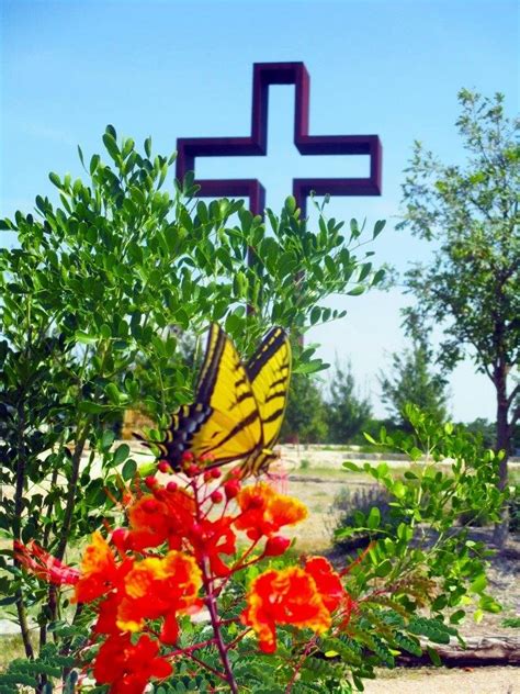 The Coming King Sculpture Prayer Garden Kerrville — Hill Country Texas