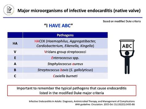 Dr Ravikiran Barigala On Linkedin Endocarditis Infection Heart