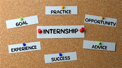 What Is An Internship Types Importance And Examples