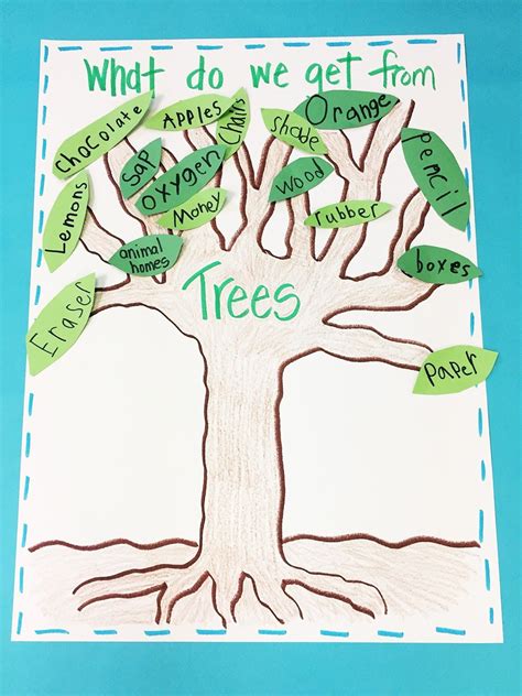 What Are Called Trees For Class 1 At Todd Bushman Blog
