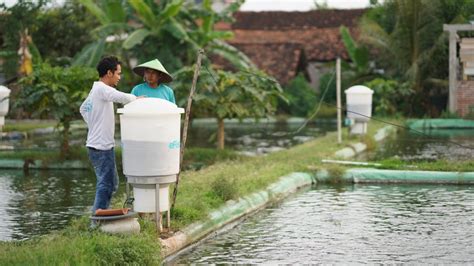 Efishery To Launch Automatic Fish Feeder In India Asian Agribiz