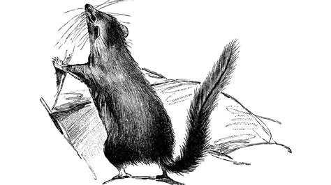 Beutelmäuse Haben 14 Stunden Sex Und Fressen Dann Die Männchen Swr Kultur