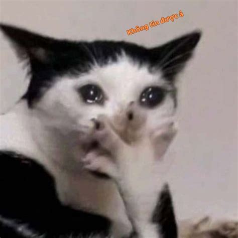 Meme đau Tim Màn Hình Sinh động Hơn Với Bạn Sợ à Gây Bão 2024