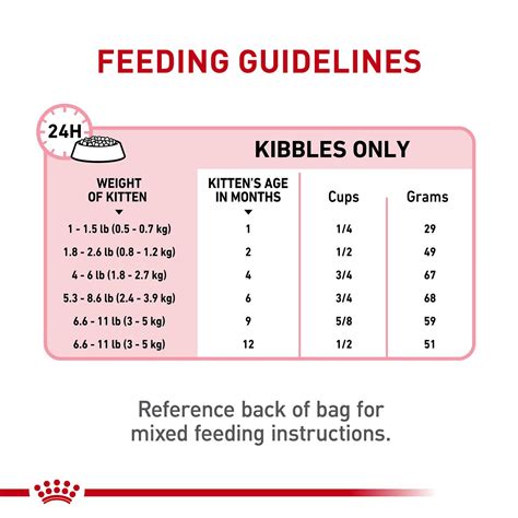 Kitten Feeding Nutrition Guide Complete Care Tips Pet Traiers