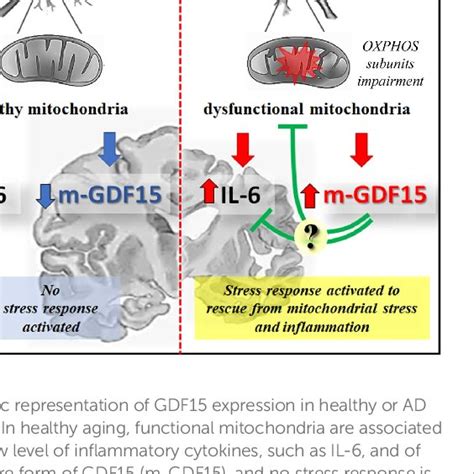 Cerebrospinal Fluid Csf Sample Description Download Scientific Diagram