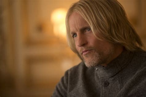 The Hunger Games Mockingjay — Part 2 Pictures Popsugar Entertainment