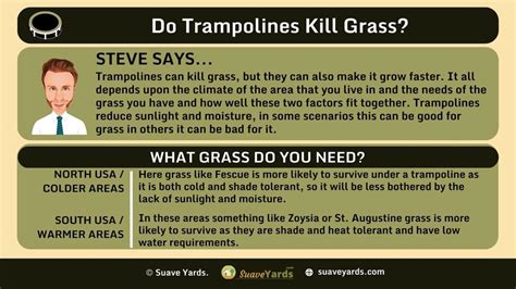 Do Trampolines Kill Grass Or Will It Thrive