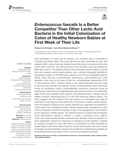 Pdf Enterococcus Faecalis Is A Better Competitor Than Other Lactic