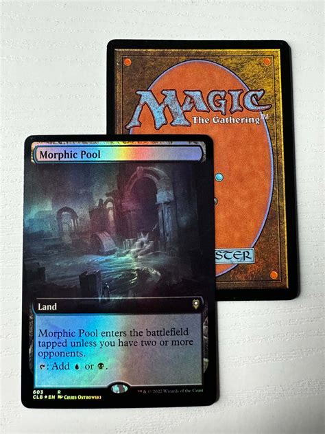 Morphic Pool Extended Art Foil Tolarian Library