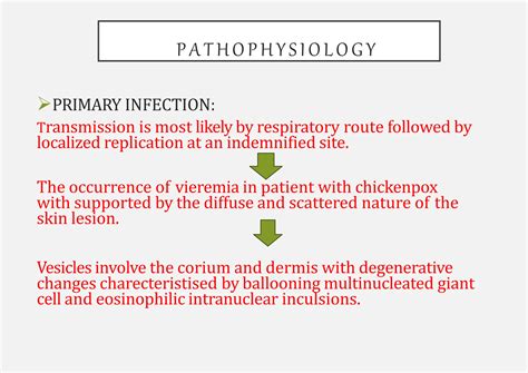 Chickenpox Department Of Physiotherapy Shuats Prayagraj Pptx