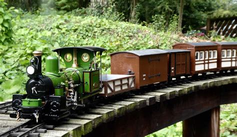 Dhr ‘a Class Loco With A Rake Of Scale Dhr Wagons And Coaches Yorkshire Group Of 16mm Ng