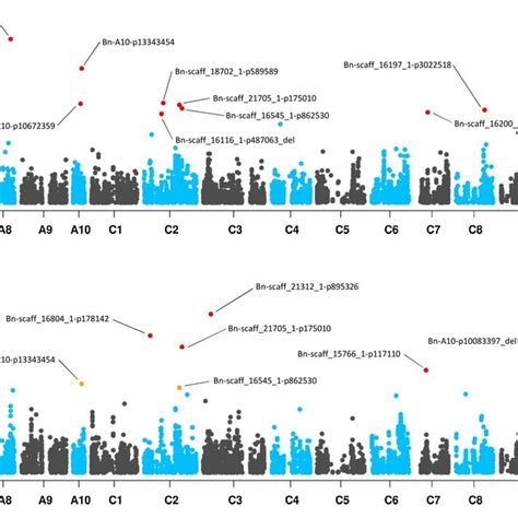 Manhattan And Quantilequantile Plots For End‐point Vegetative Biomass