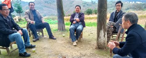 安康学院教师应邀深入村镇为村域经济发展出谋划策 现代农业与生物科技学院