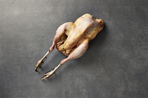 Fazant Panklaar Wild Uit De Regio