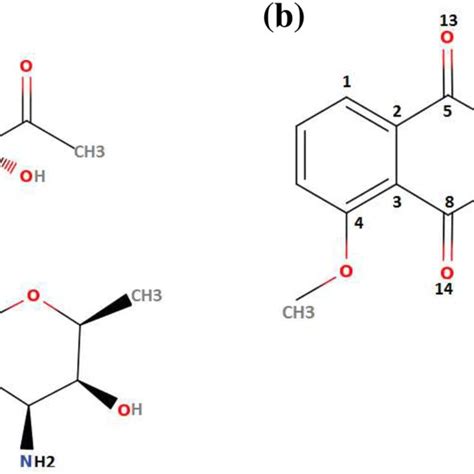 Structures Of Daunomycin In A Nh2 And B Nh3⁺ States Numbers Indicated