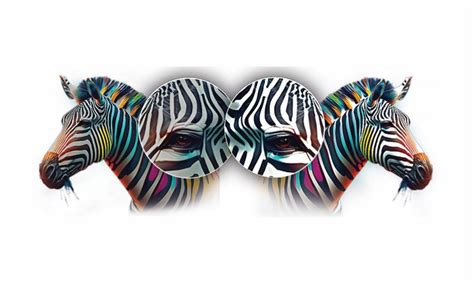 Achieving Brighter Whites In One Dtf Pass Whattheythink