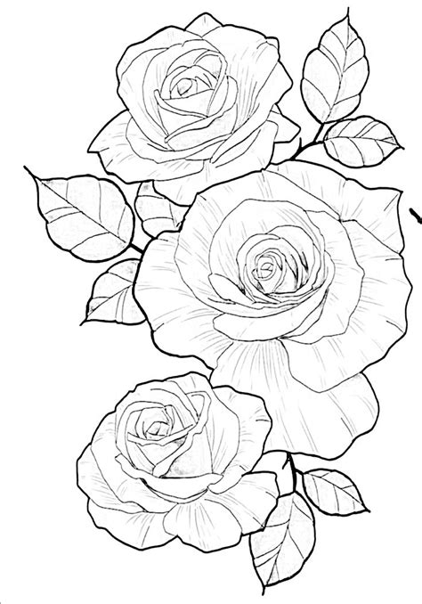 Rose Tattoo Drawing Outline