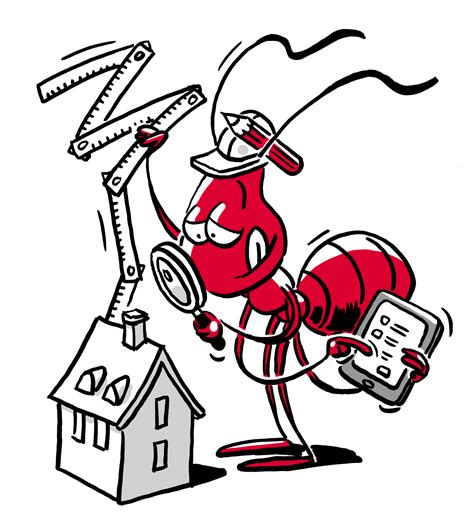 Centre De Formation Ecap Nech